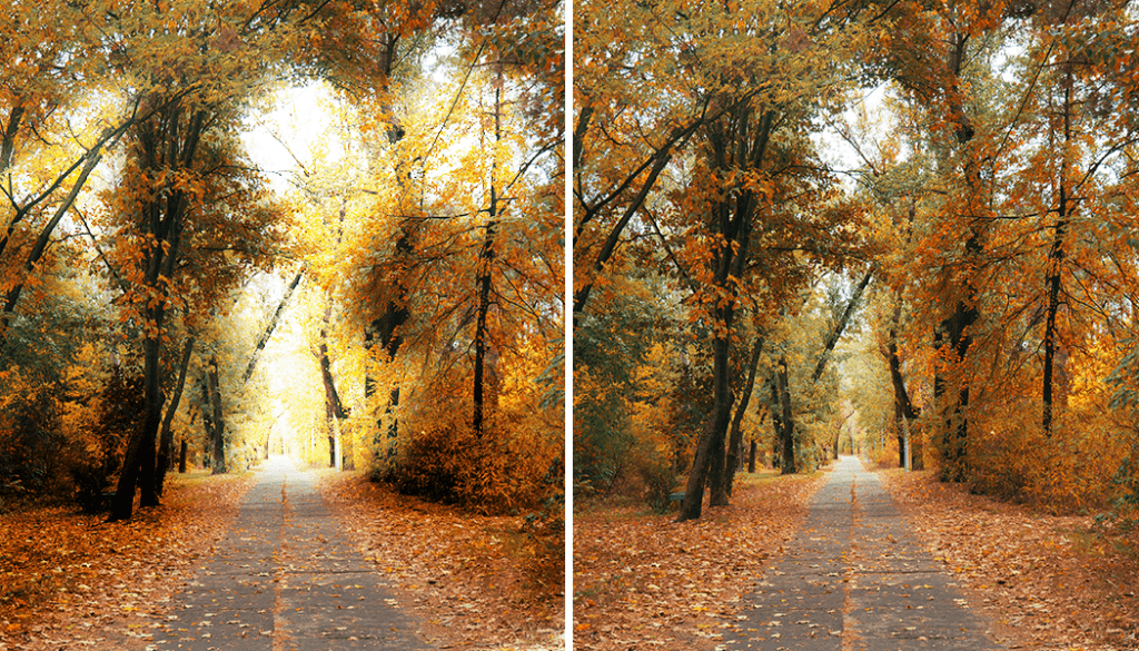 H.264 vs. MJPEG in Embedded Vision – All You Need to Know - TechNexion