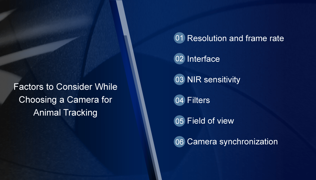 High-resolution Animal Tracking on Multi-well Plates Using Embedded ...